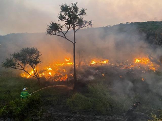 Prescribed burn for Whyalla South | The Whyalla News