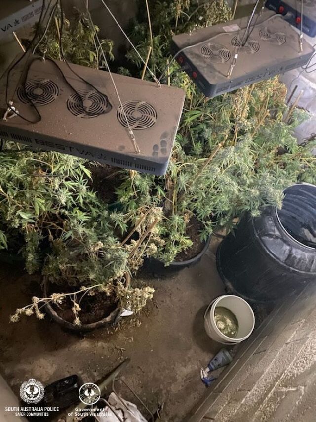 Police deal with drug bust | The Whyalla News