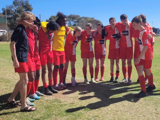 Monkey see, monkey do | The Whyalla News