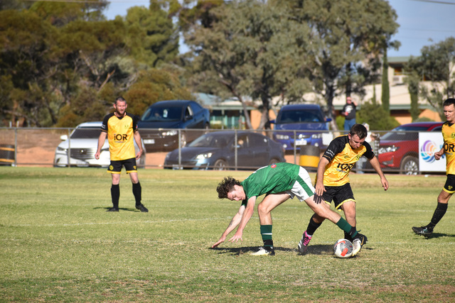 Lions comeback for a win | The Whyalla News