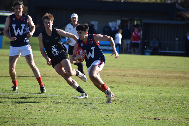 Spencer Gulf flies high | The Whyalla News