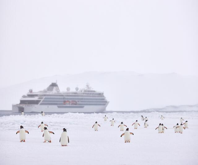 Discover the last frontier in style, Antarctica awaits | The Whyalla News